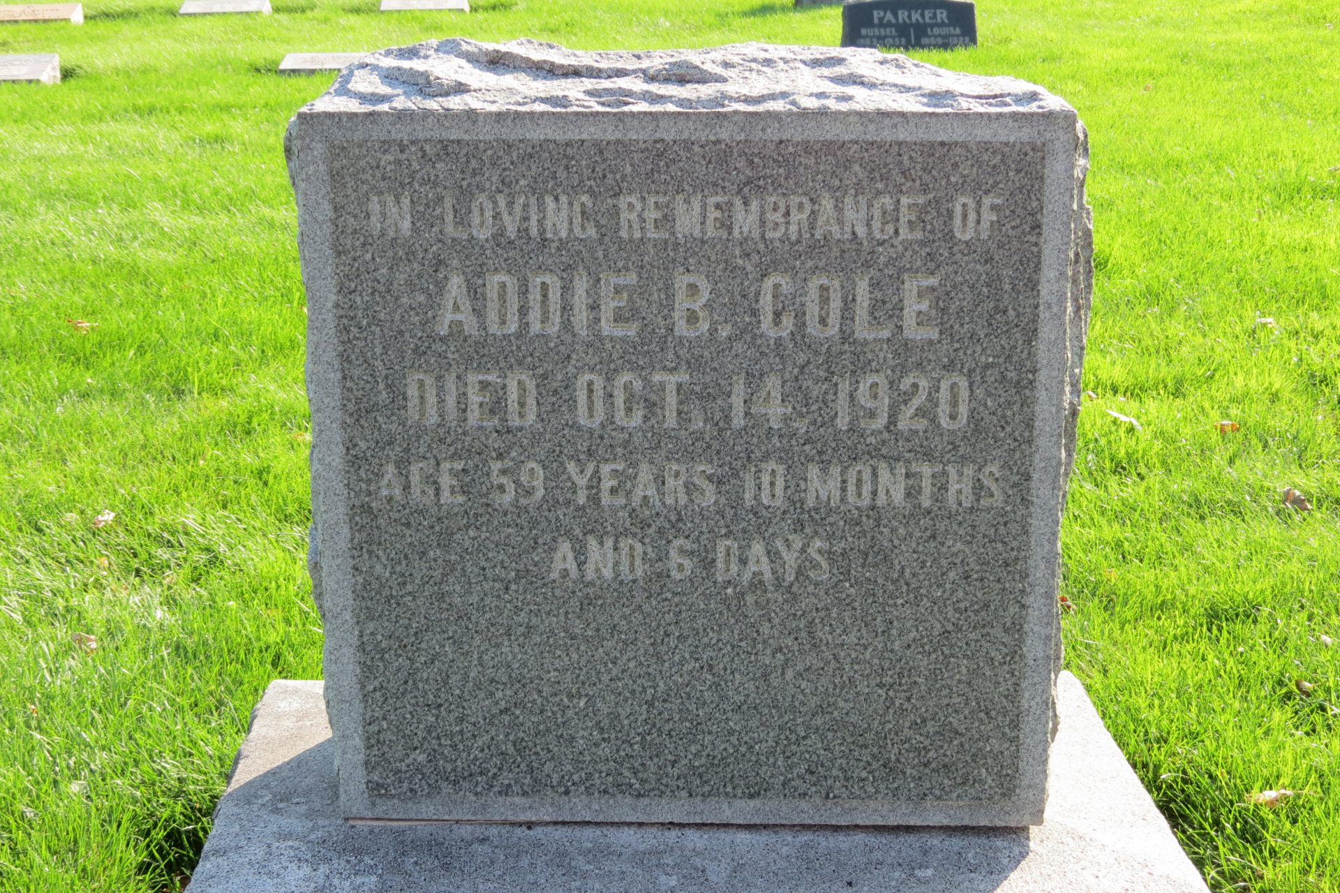Autopsia De Addie Mae Collins
